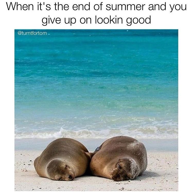 Summer is ending — Funny Pictures