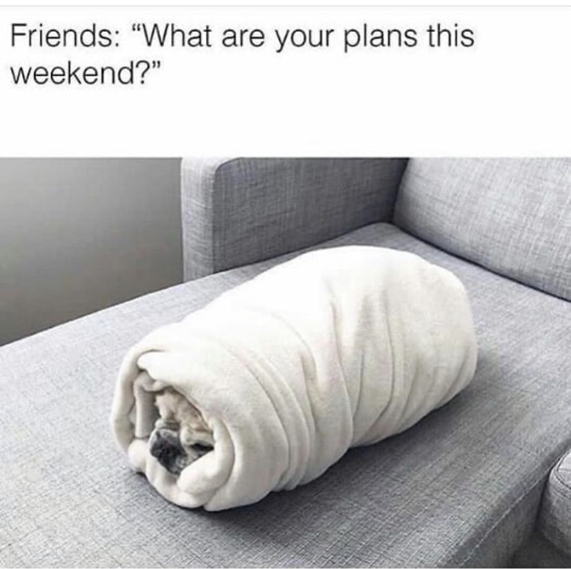 Lazy weekends? — Funny Pictures