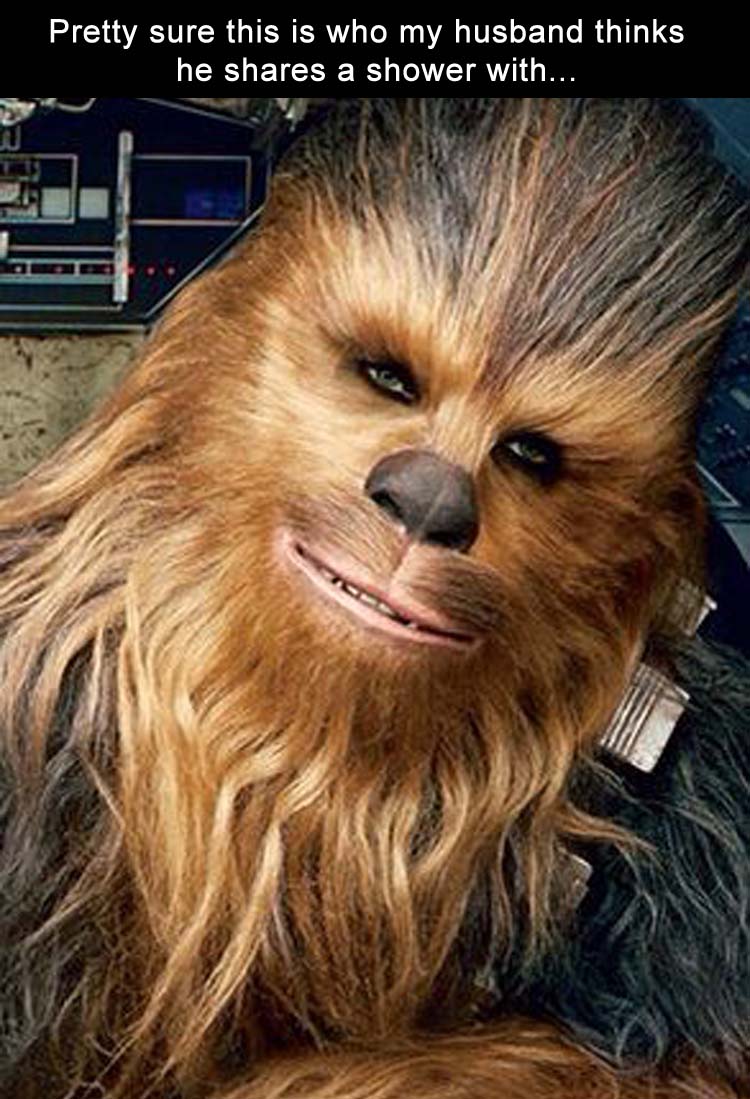 Random Meme Dump to Make You Laugh — Funny Pictures